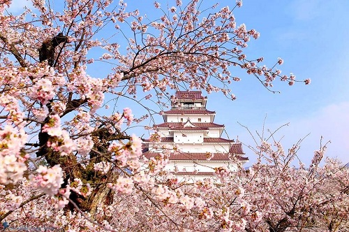 Đặt Vé Máy Bay Đi Fukushima Giá Rẻ