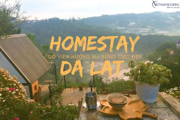 Top 10 homestay Đà Lạt view núi rừng cực chill