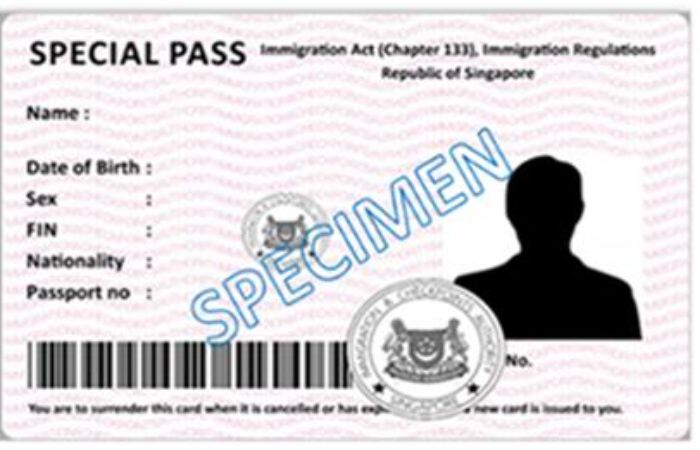 Các loại visa Singapore phổ biến dành cho người nước ngoài