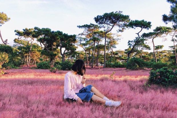 15 địa điểm du lịch Gia Lai đẹp và nổi tiếng nhất