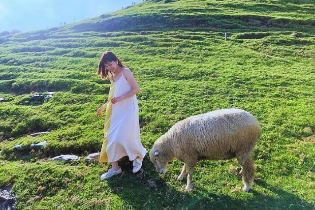 Kinh nghiệm du lịch Cingjing Farm Đài Loan chi tiết nhất
